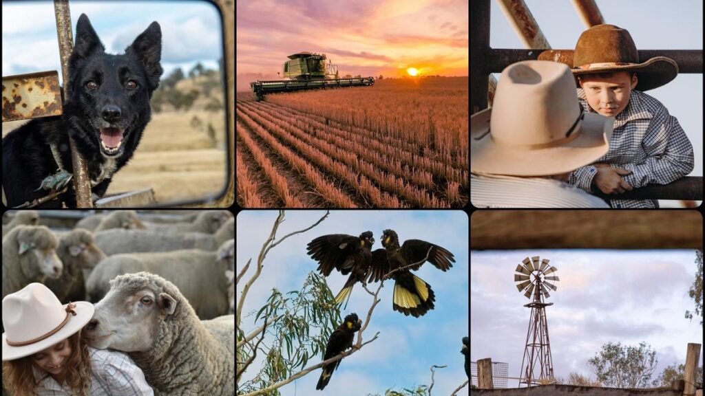 Pilbara Photographers Urged to Enter Spirit of the Bush Contest
