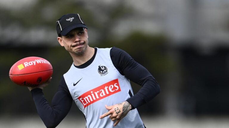 Collingwood's Steele Sidebottom Backs Bobby Hill for Potential Return