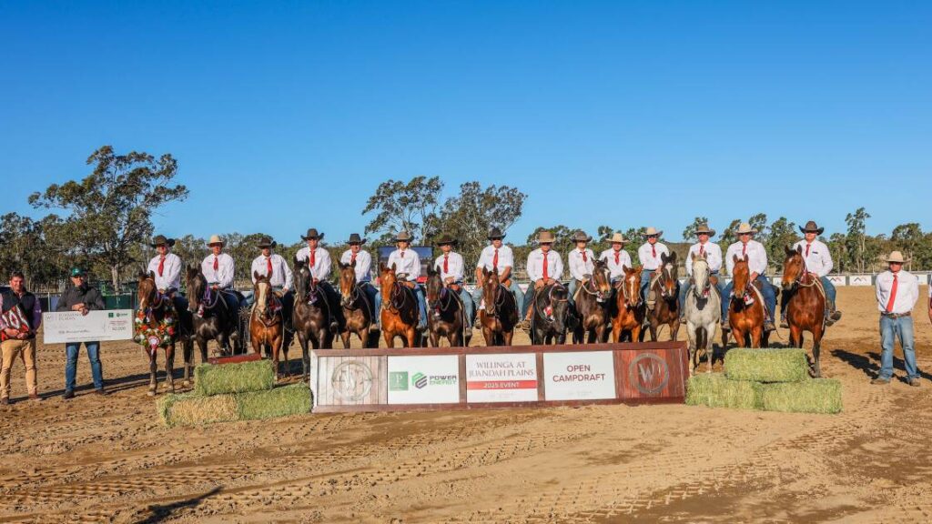 Willinga Campdraft Breaks Records as Queensland's Largest Event