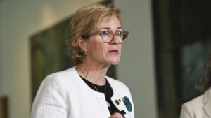 Zali Steggall Distances Herself from Controversial Post on Violence