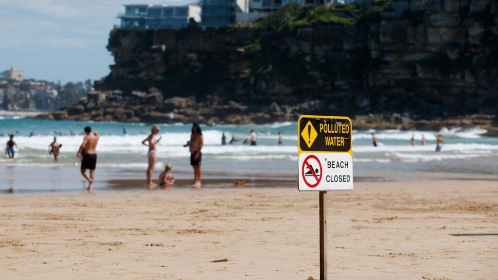 Authorities Confirm Cause of Sticky Debris Balls on Sydney Beaches