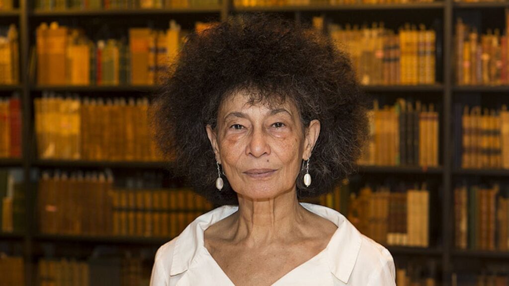Celebrated Writer Zoë Wicomb Passes Away, Leaving a Legacy