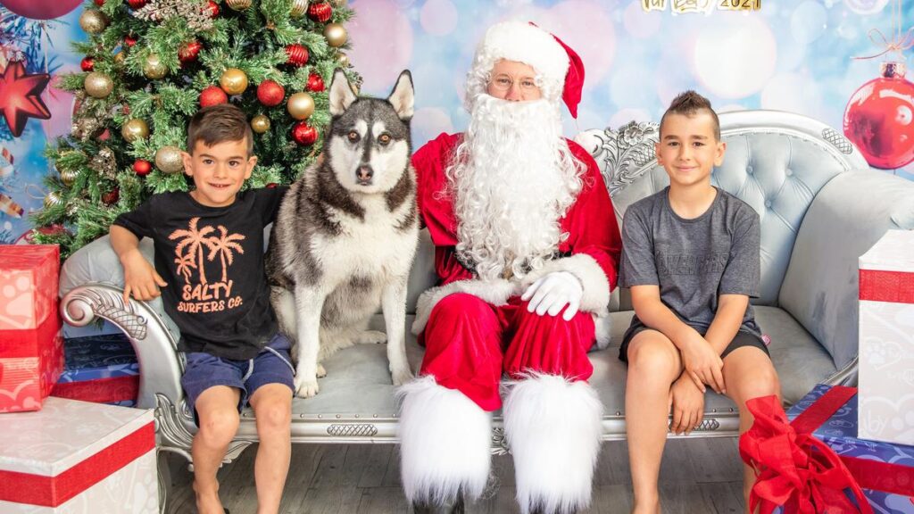 Perth Families Include Pets in Festive Fun with Santa Paws