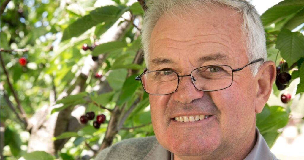Urgent Update: Manjimup Cherry Festival Set for December 13, 2025