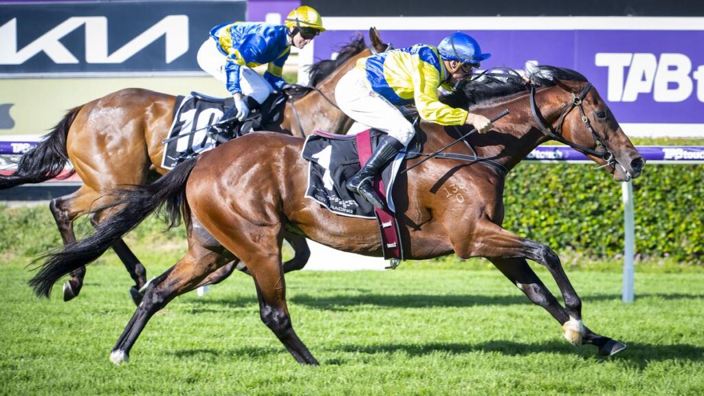 Apulia Wins Ted Van Heemst, Surges as Perth Cup Favorite
