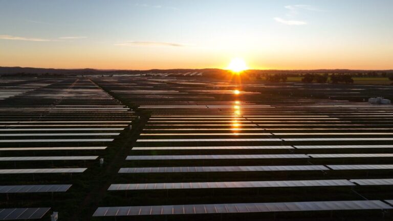 Grass Fire Disrupts Operations at Major NSW Solar Farm