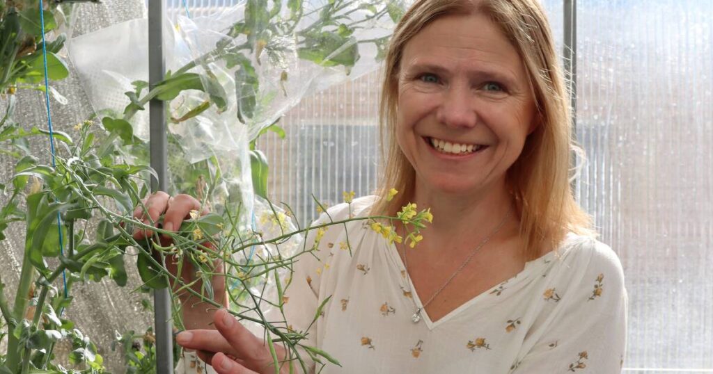 Jacqueline Batley Wins Western Australia Scientist of the Year Award