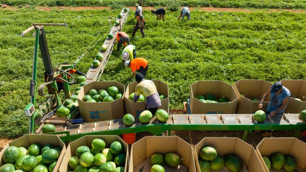 National Food Council Faces Backlash Over Limited Representation