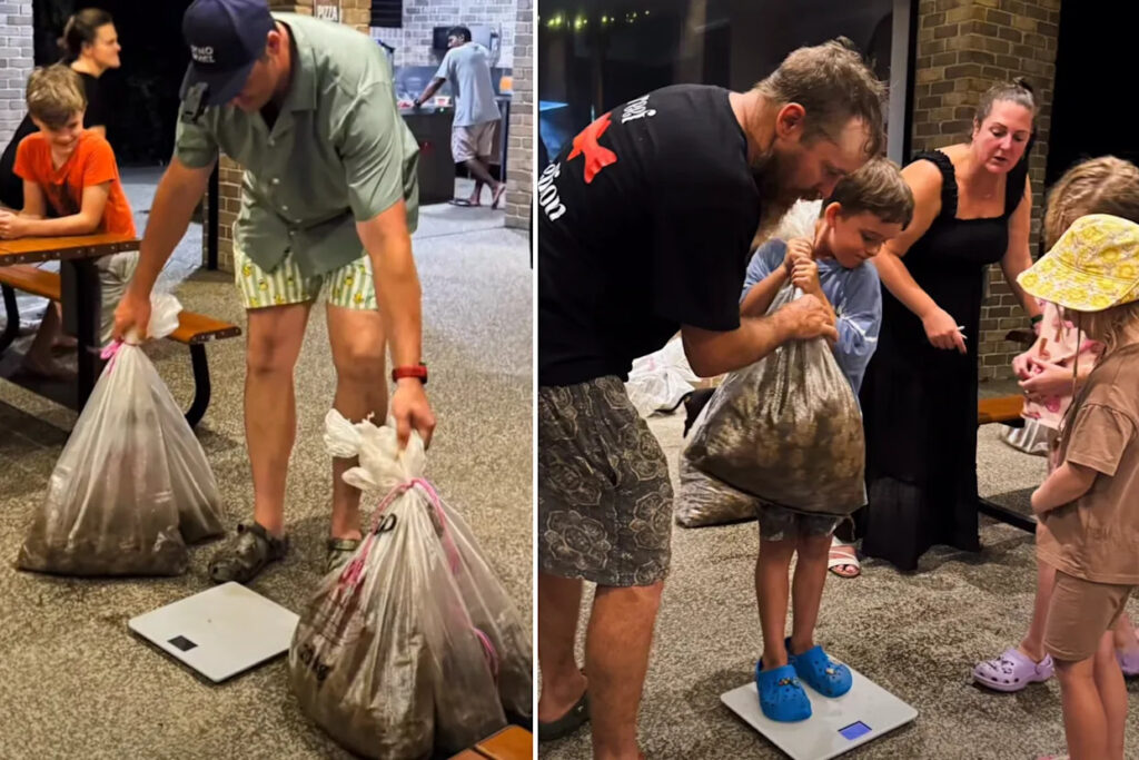 Aussie Conservationists Rally Against Cane Toad Invasion, Collect 96kg