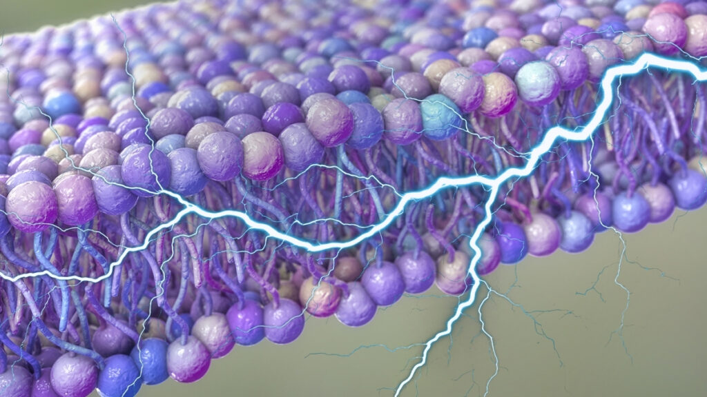 Researchers Uncover Potential Electric Power Source in Cells
