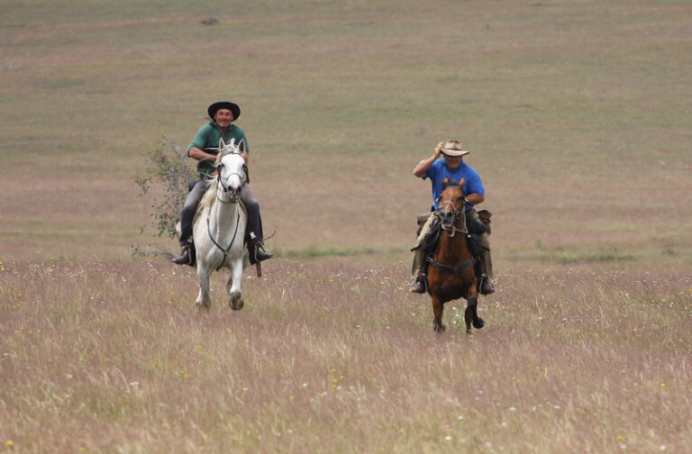 Test Your Knowledge with Australia Day Quiz for 2026