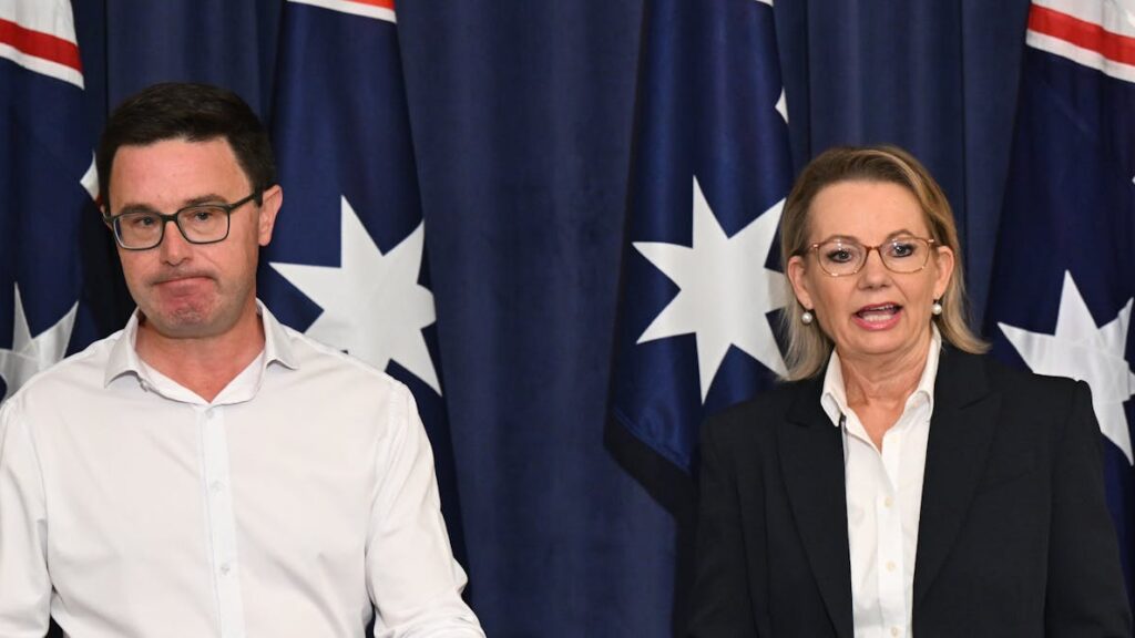 Coalition Leaders Seek Stability Amid Leadership Challenge Speculation