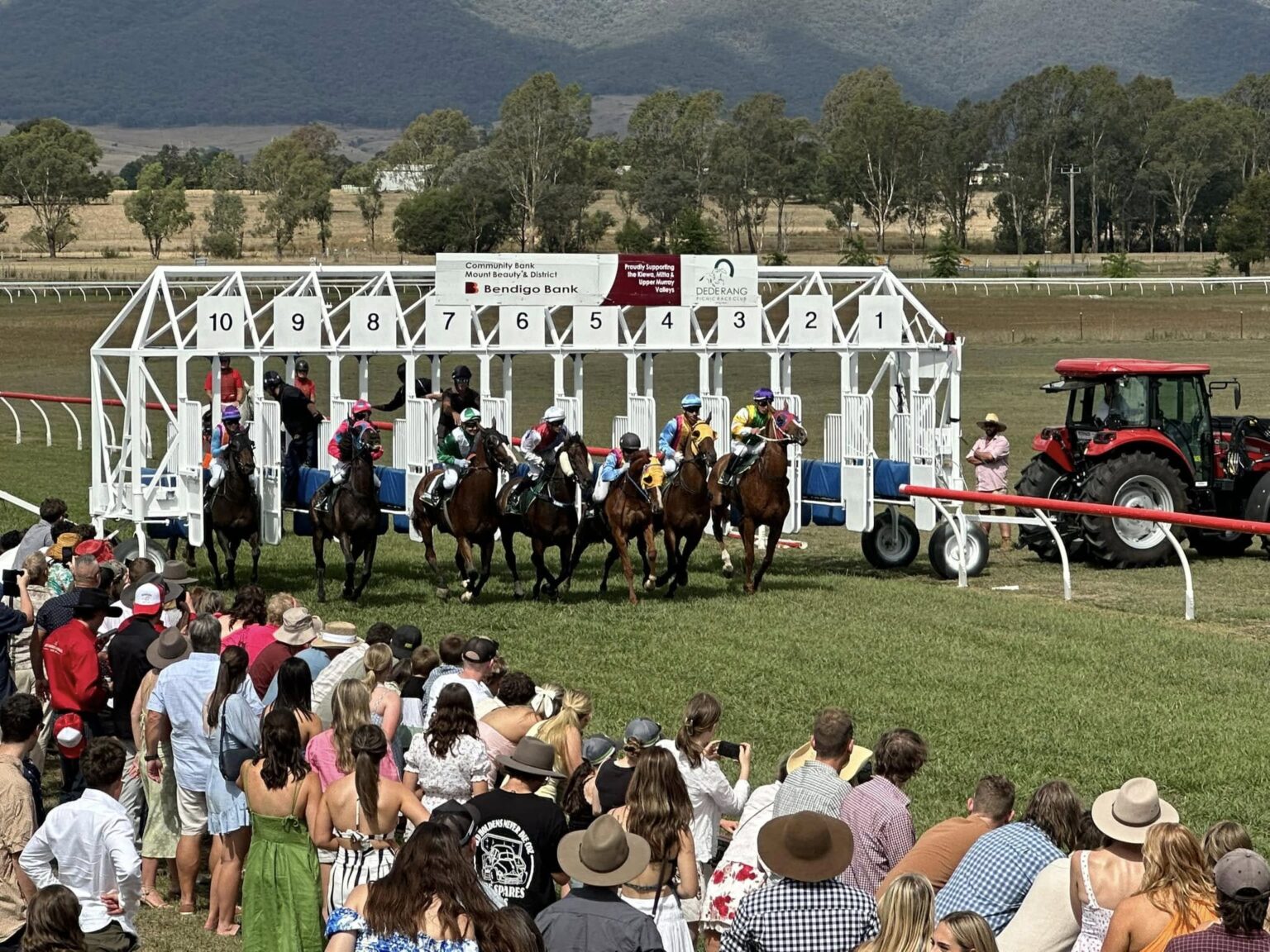 Dederang Picnic Races Set for February 21, 2026, with Exciting Activities