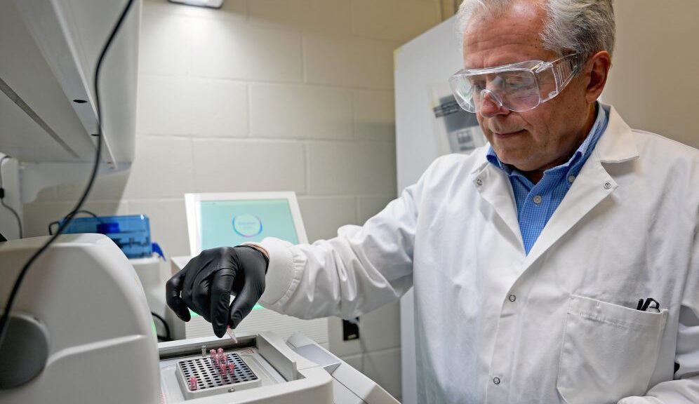 Researchers Unveil Insights on COVID Virus in Northeastern Animals